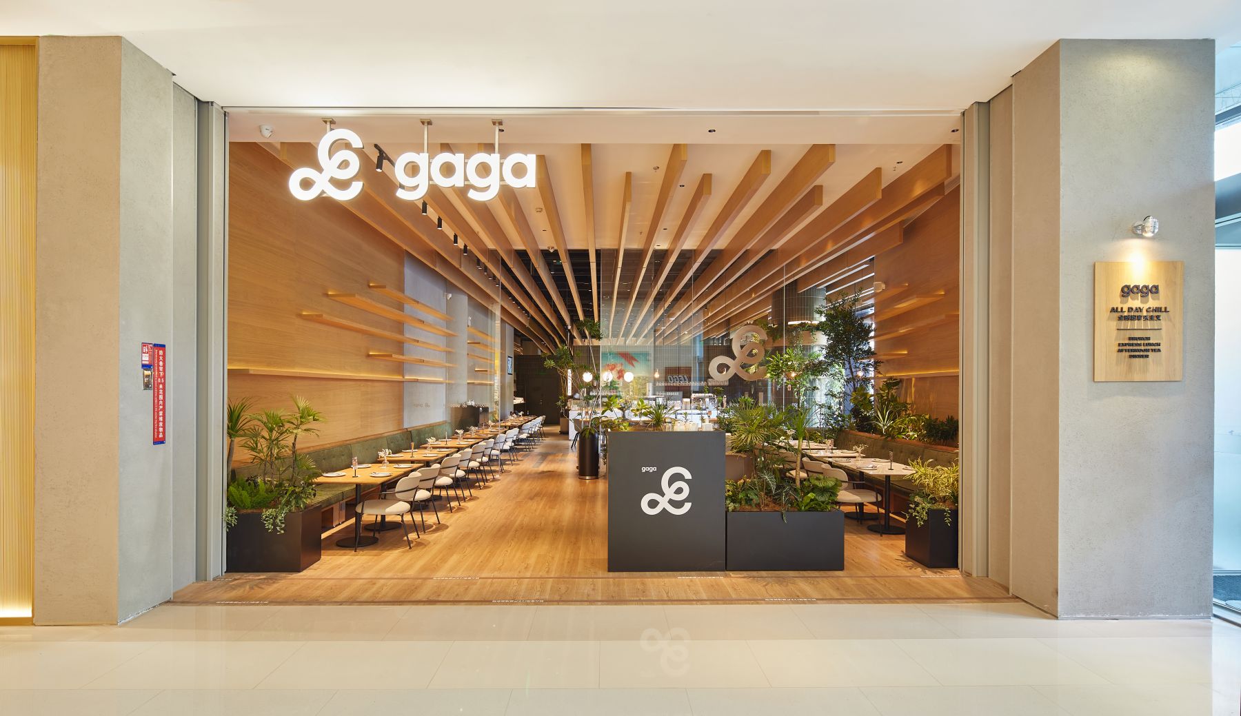 gaga Life Aesthetics Space